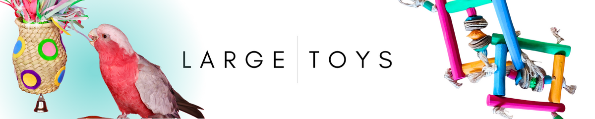 LARGE BIRDS – PARROT STATION