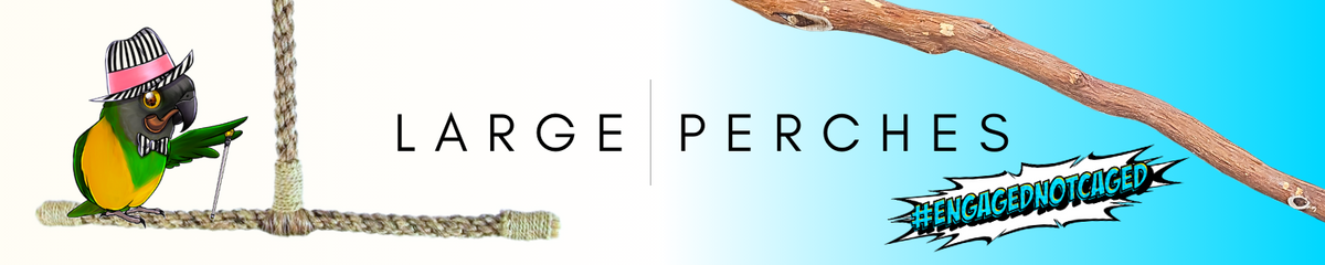LARGE PERCHES – PARROT STATION