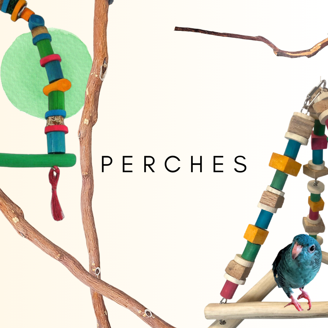 Parrot Station – PARROT STATION