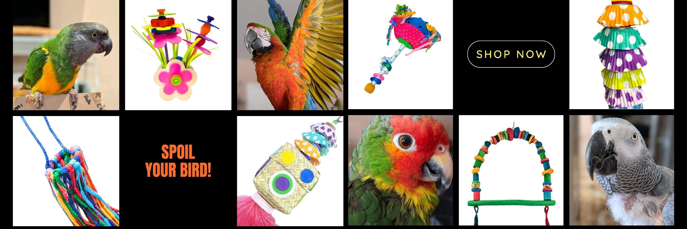 Parrot Station – PARROT STATION