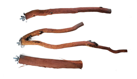 Parrot Station – PARROTSTATION.COM