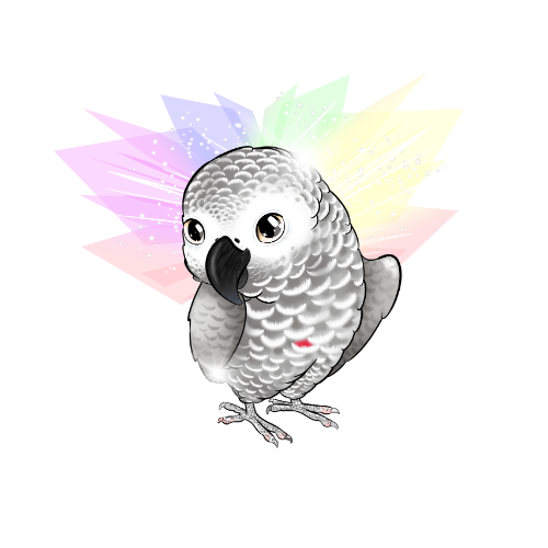 GEORGE STICKER – PARROT STATION