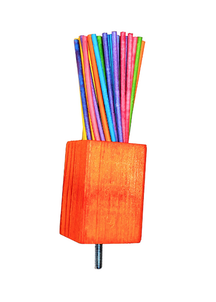 Parrot Station – PARROT STATION